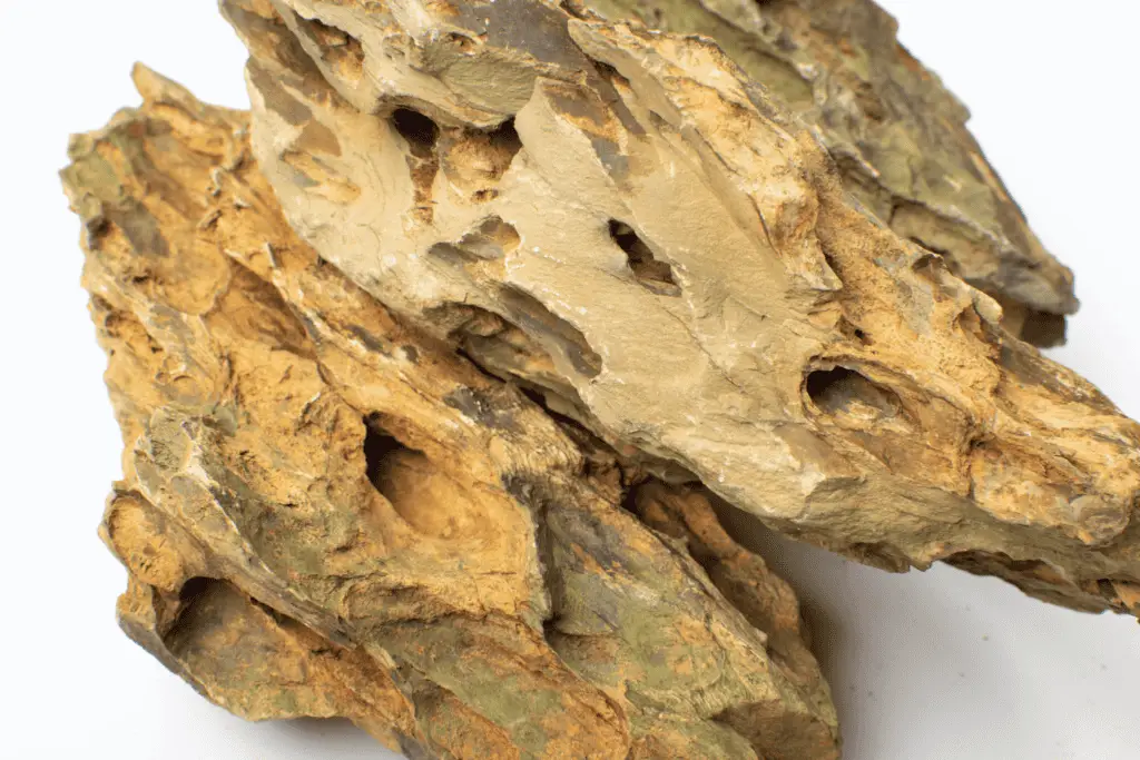 The Wonders of Ohko Stone for Aquariums - Memfish dot net